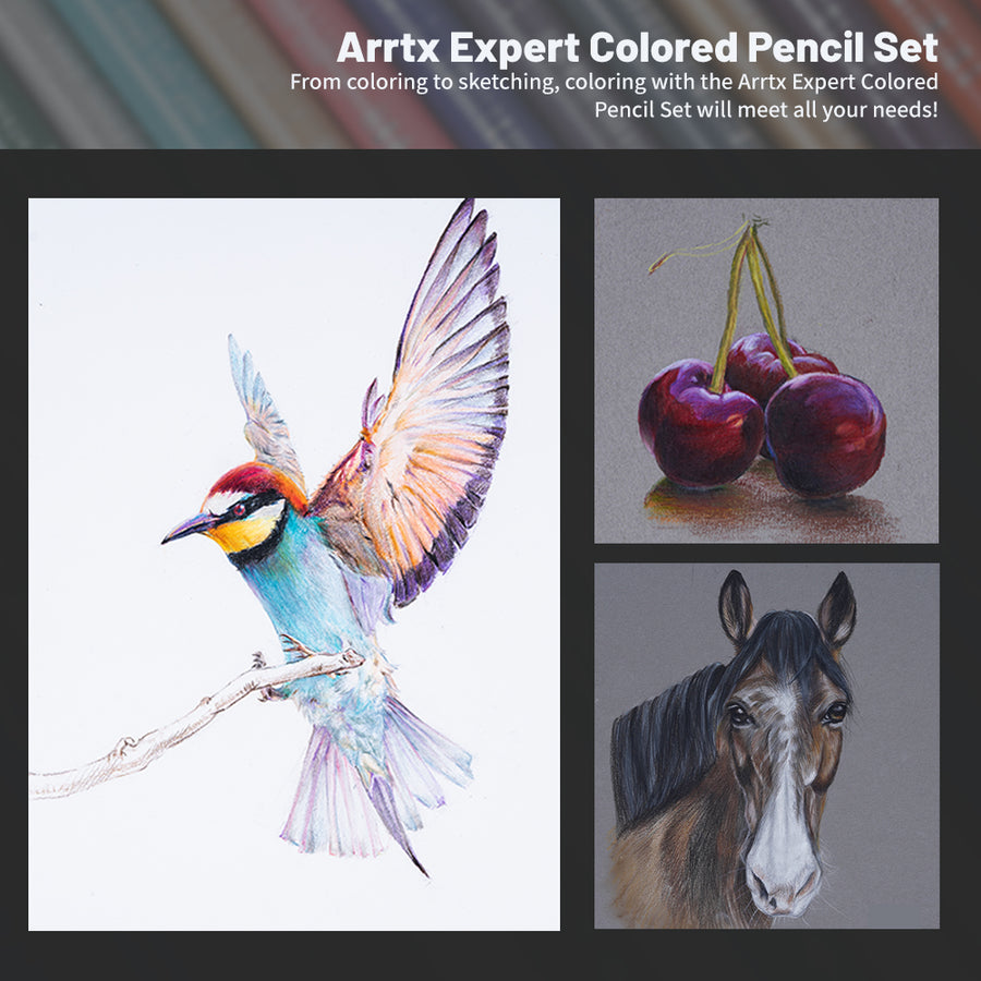 Arrtx 72 Colored Pencils Artist Grade Drawing Pencils – ArrtxArt